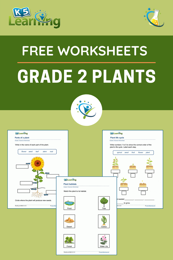 Plant Worksheets For Grade 2 Students K5 Learning Plant Worksheets For Grade 2 Students K5 Learning