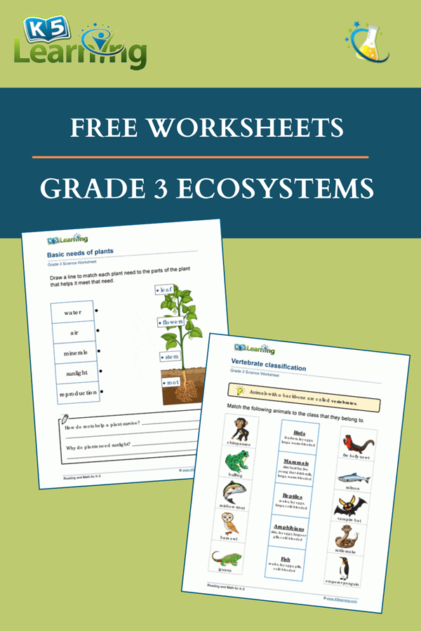 Grade 3 Ecosystems Worksheets K5 Learning Grade 3 Ecosystems Worksheets K5 Learning