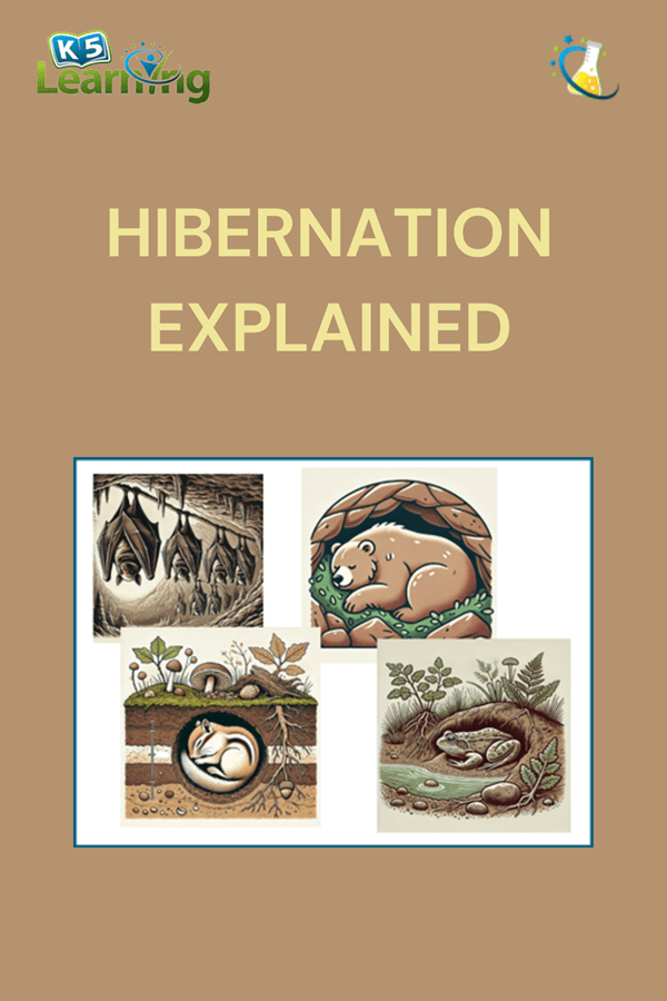 Hibernation Explained | K5 Learning