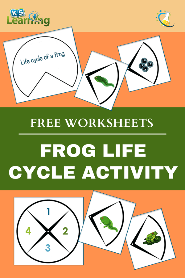 Frog and Butterfly Life Cycle Activities and Worksheets | K5 Learning