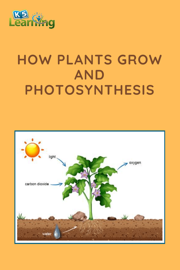 How Plants Grow and Photosynthesis | K5 Learning